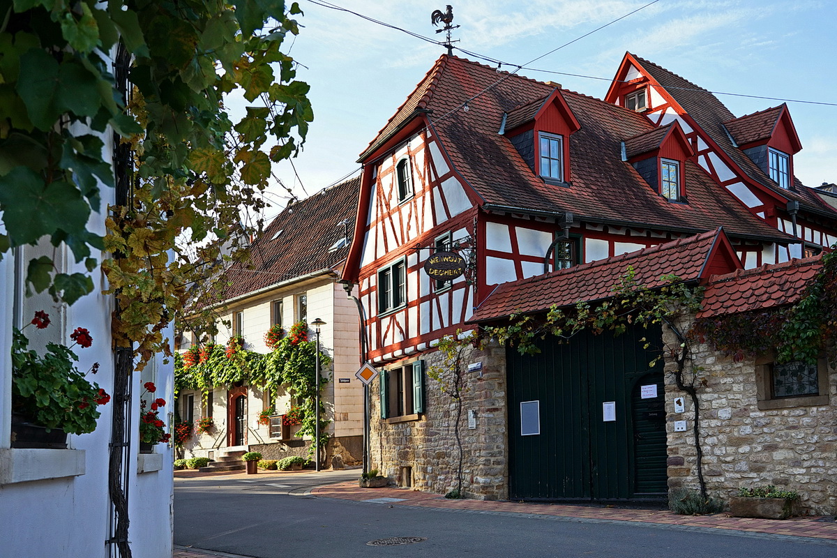 Galerie Archive - Saulheim